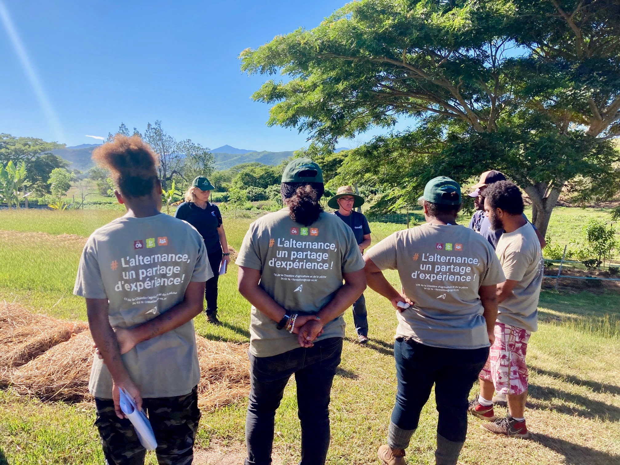 06-Chantier-école APICEM-récap - Repair Réseau Professionnel Agricole ...