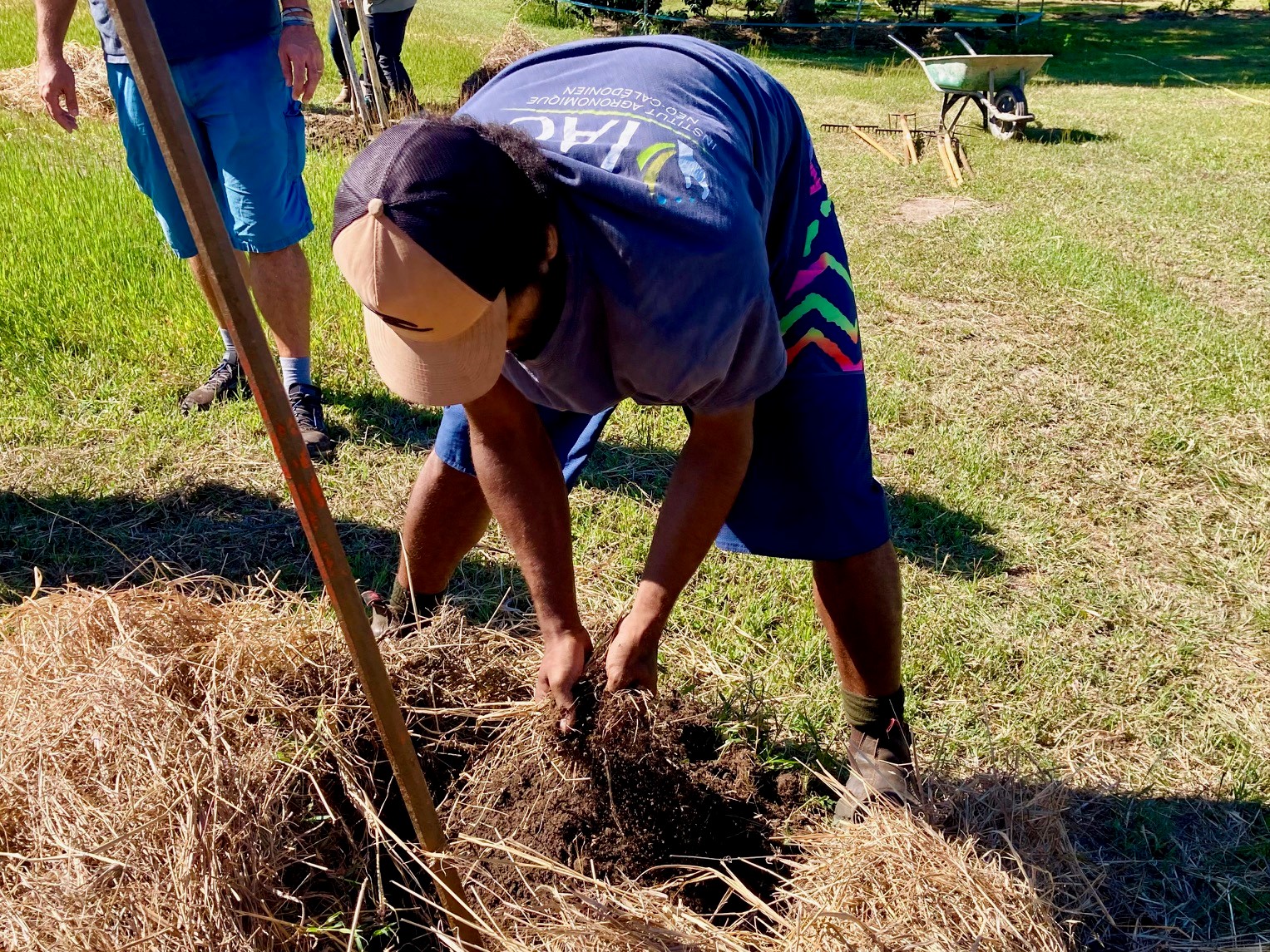 11-Chantier-école APICEM-atelier coupe-plantation manioc, chou kanak ...