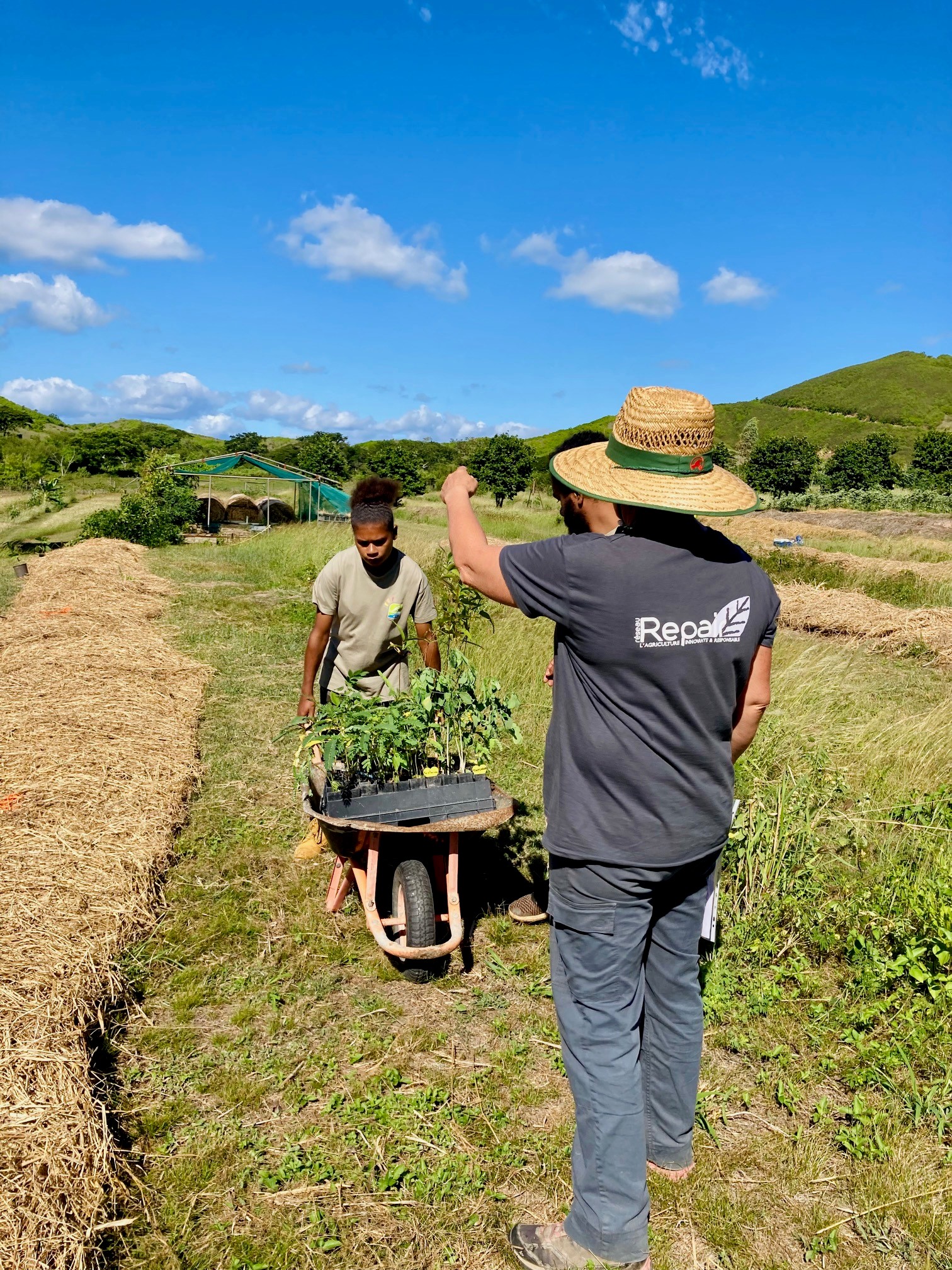 20-Chantier-école APICEM-atelier arbres support - Repair Réseau ...