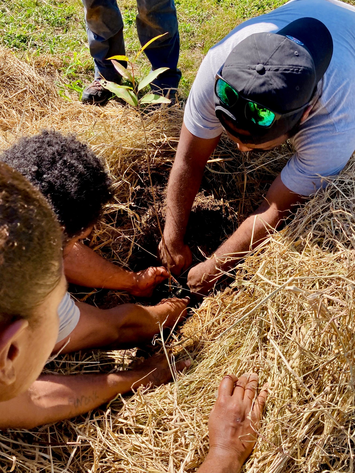 24-Chantier-école APICEM-atelier arbres support - Repair Réseau ...